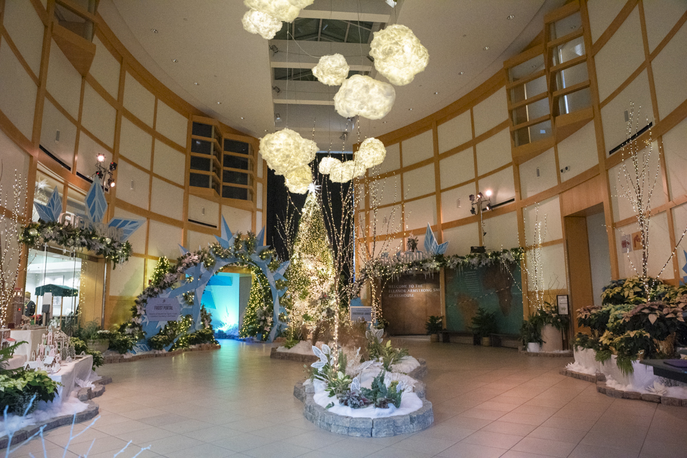 Ice Capped: A seasonal Botanical Garden in photos