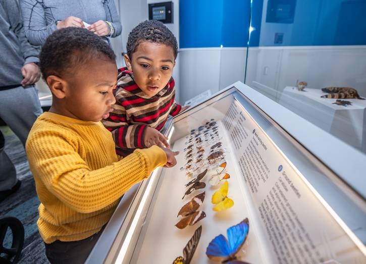 Celebrating Dr. King's legacy: Museums pay homage with free admission ...
