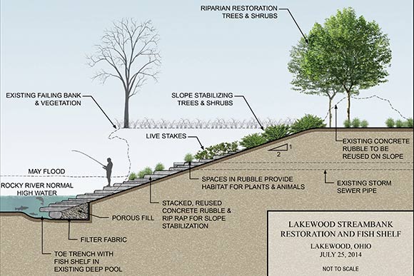 Lakewood fish shelf coming along swimmingly, officials say