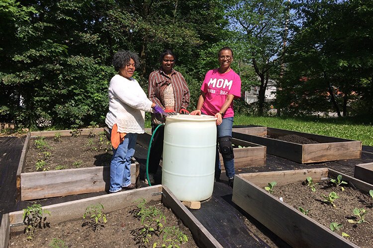 Summer Sprout takes urban gardeners from rookies to green thumbs
